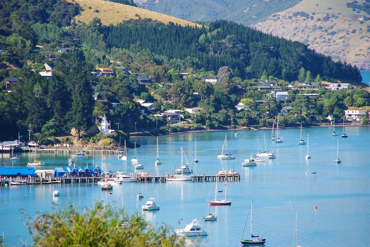 Swim with dolphins in Akaroa, New Zealand | Stunning scenery